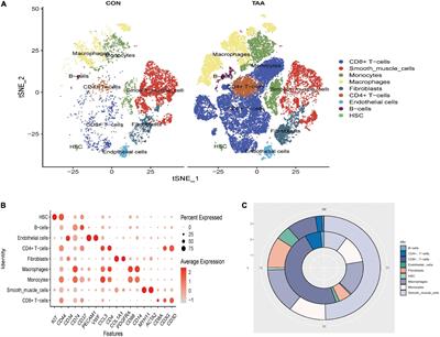 Frontiers | Deciphering the Intercellular Communication Between Immune Cells and Altered ...